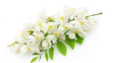 Troxerutin 98% UV EP8.0, DAP1999, CAS NO.: 7085-55-4, Lutin, Chinese manifacturer, Shaanxi Yongyuan Bio-Tech