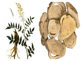 Oxymatrine 98% HPLC White powder, CAS No.: 16837-52-8, Sophora flavescens Extract, Shaanxi Yongyuan Bio-Tech