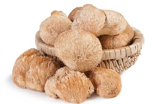 Mushroom: Lions mane mushroom extract, Hericium Extract, Hericium Erinaceus Extract, Hericium erinaceus polysaccharides
