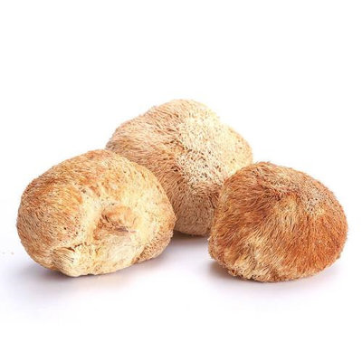 Mushroom: Lions mane mushroom extract, Hericium Extract, Hericium Erinaceus Extract, Hericium erinaceus polysaccharides