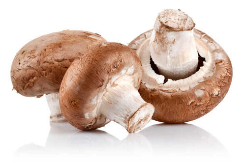 Mushroom Extract: Shiitake Mushroom Extract, Lentinus edodes Extract, Shiitake polysaccharides,  Shiitake extract,