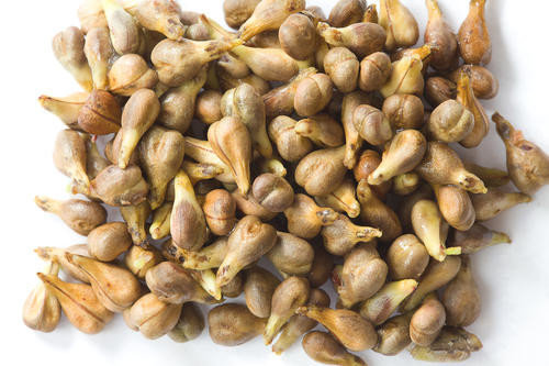 Real Grape seed Extract, Proanthocyanidins 95%, Vitis vinifera Extract, Yongyuan Bio
