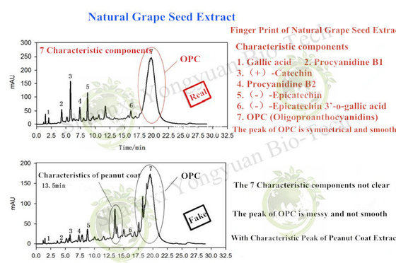 Real Grape seed Extract, Proanthocyanidins 95%, Vitis vinifera Extract, Yongyuan Bio
