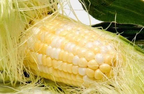 manufacturer supply Zea mays Extract, Corn Silk Extract, Corn stigma Extract, Corn Musk Extract, Yongyuan Bio