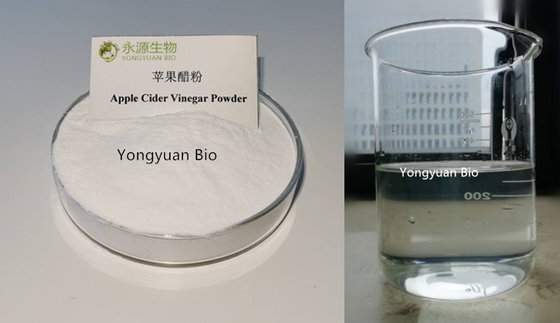 Apple Cider Vinegar Powder 6% HPLC, No exogenous acetic acid, Apple Vinegar Powder, natural apple vinegar,