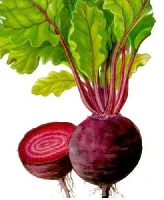 Apple Beetroot Carrot Juice Powder, ABC Juice Powder, Water soluble ABC Powder, Apple powder