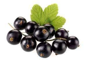 Black currant Extract, Ribes nigrum Extract, Blackcurrant Anthocyandins, Anthocyanins, Yongyuan Bio