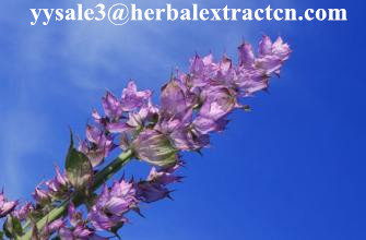 Sclareolide 98%GC, CAS NO.: 564-20-5 fragrance-adding, flavor-rectifying, help reducing fat, Shaanxi Yongyuan Bio-Tech
