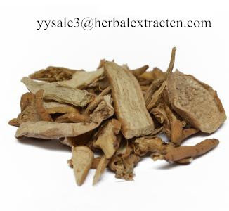 Cynanchi Wilfordii Radix Root Extract, Cynanchum bungei Extract, 10:1, Chinese manufacturer, Shaanxi Yongyuan Bio-Tech