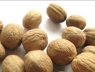 Nutmeg extract, Myristica fragrans Extract, 10:1 TLC, natural flavor, manufacturer, Shaanxi Yongyuan Bio-Tech