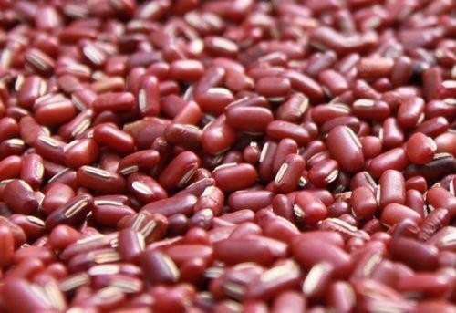 competitive Rice Bean Extract, Vigna Umbeuata Extract, 10:1TLC, Chinese factory, export standard, Shaanxi Yongyuan