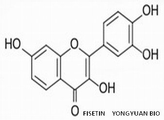 Fisetin 98% HPLC yellow powder,CAS No.: 528-48-3, Pharmaceutical ingre, Manufacturer,  Shaanxi Yongyuan Bio-Tech
