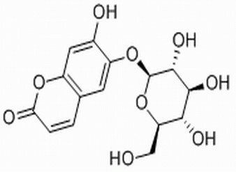 Esculin, Aesculin 98% HPLC, white powder,CAS No.: 531-75-9, high purity , Shaanxi Yongyuan Bio-Tech