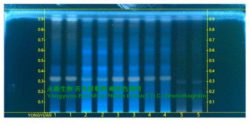 Bitter melon Extract powder, Bitter Melon Extract, Momordica Charantia Extract, Biharatter Melon P.E., manufacturer
