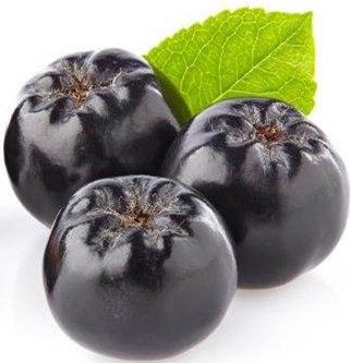 Black Chokeberry Extract, Aronia Extract, Aronia Melanocarpa Anthocyanin, Aronia Chokeberry Extract, Aronia melanocarpa