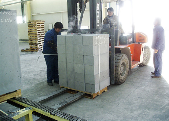 Autoclaved Aerated Concrete Equipment Fully Automatic Fly Ash Brick Plant