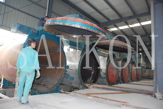 Flyash / Sand AAC Block Plant  , 50,000m³  to 400,000m³ annual capacity