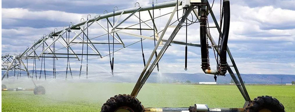 Chemical Insecticides