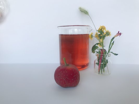 Fluazinam  40%/ 50% EC