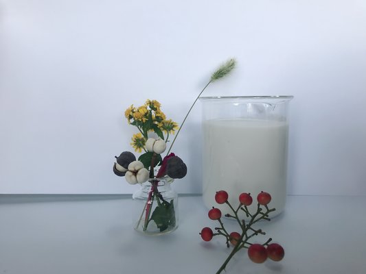 Sc de Terbuthylazine 500g/L