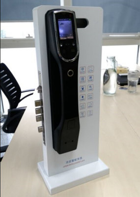 Exterior Biometric Recognition Products Door Lock , Keyless Fingerprint Bedroom Door Lock