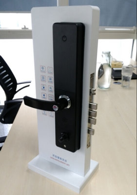 Security Biometric Recognition Products Face Recognition Door Lock For Home Recognize