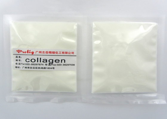 Moisturizer Odorless 100% Hydrolyzed Collagen Powder For Cosmetics Detergent
