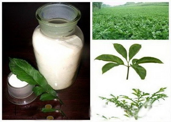 Cosmetic Moisturizer CAS 9057-02-7 Cosmetic Moisturizer Pullulan Powder For Facial Mask