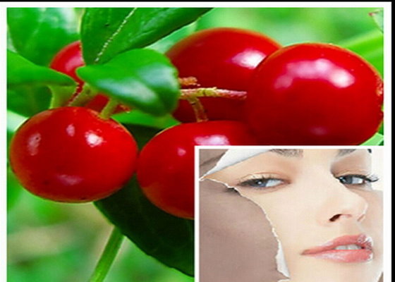 chemical  raw materials Alpha-arbutin for whitening, removing spot cream