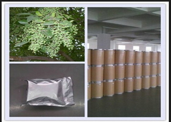 High Effective Brown Fine Powder Ursolic Acid For Mask / Cream