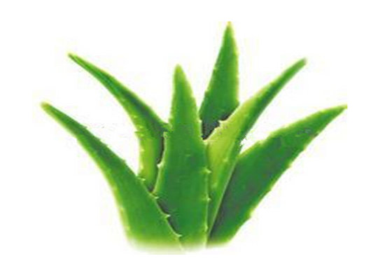 Sweet Scent Aloe Perfume Flavor Fragrance CAS NO 100084-89-7