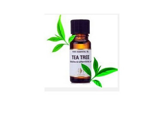Essential Oils 99.9% Aromatherapy Tea Tree extract flavor oil