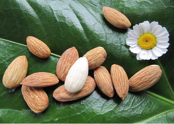 CAS 8007-69-0 100% Plant extract Almond Oil Skin Care Products