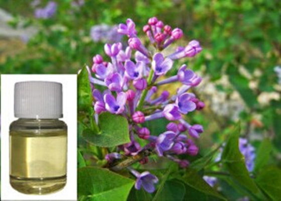 Herbal Extract Clove / Lilac Oil , 99.9% Aromatherapy Essential Oils