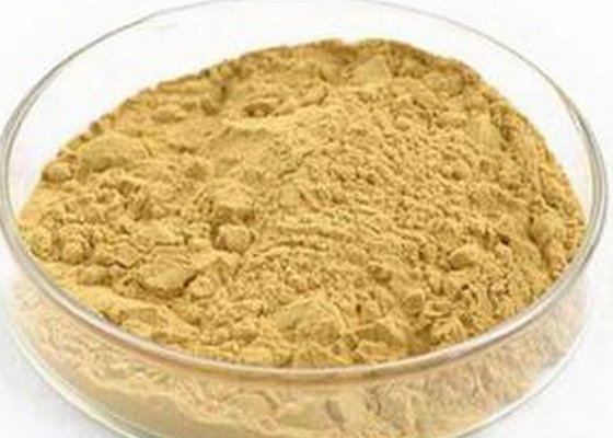 Natural Odorless 100% Liquorice Licorice Plant Extracts CAS 1045-86-3