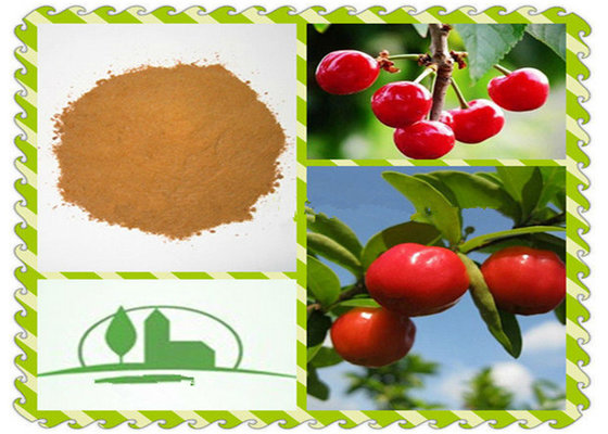 Plant Extract  Natural Whitening Factor Vitamin C Acerola  Fruit Extract Acerlary TM CH17 for Skin Care Product