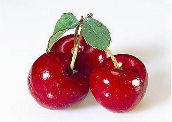 Plant Extract  Natural Whitening Factor Vitamin C Acerola  Fruit Extract Acerlary TM CH17 for Skin Care Product