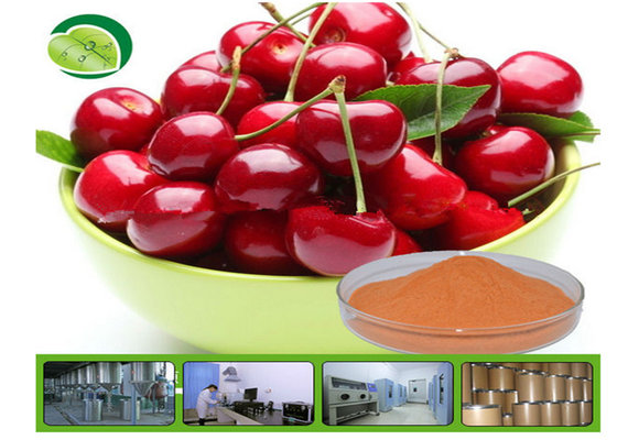 Plant Extract  Natural Whitening Factor Vitamin C Acerola  Fruit Extract Acerlary TM CM10 for Skin Care Product