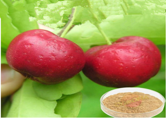 Plant Extract  Natural Whitening Factor Vitamin C Acerola  Fruit Extract Acerlary TM CM10 for Skin Care Product