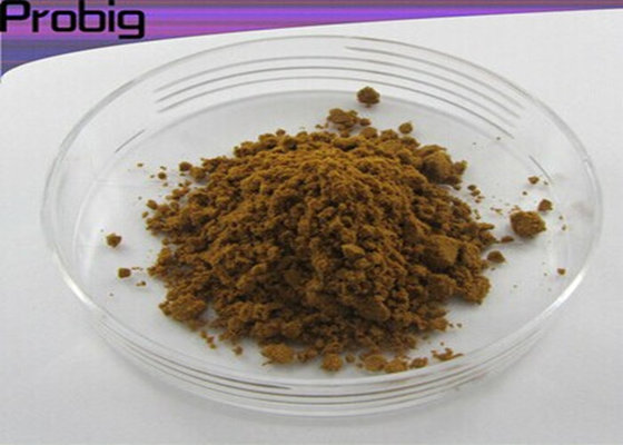 Ginger Root Extract Powder , Ginger Powder For Skin Care Hair Conditioner And Shampoo hair grower
