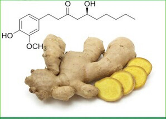 Ginger Root Extract Powder , Ginger Powder For Skin Care Hair Conditioner And Shampoo hair grower