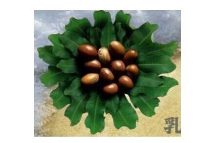 Healthy Unrefined Safe Shea Butter For Moisturizer And Whitening Cream