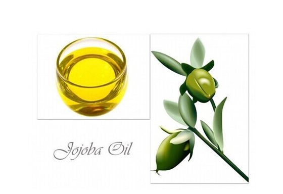 Organic Cosmetic Moisturizer Jojoba Oil Golden JOJOBA OIL Contents 99% for Cream and Massage Oil