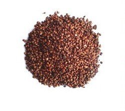 Organic Moisturizer  Natural Plant Extract Grape Seed Anti - Oxidation for Anti - age Cream and Massage Oil