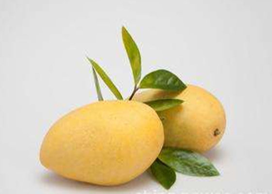 High Concentration Mango Fragrance For Shampoo , Shower Gel , Soap Face Cream And Body Lotion