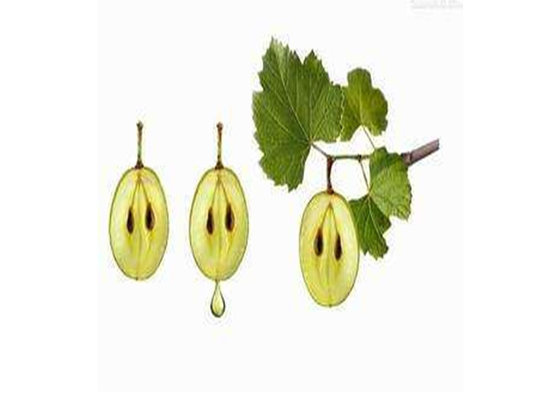 25Kg / Drum Grape Seed Extract Oil , Grape Seed Essential Oil 24 Months Self Lifte