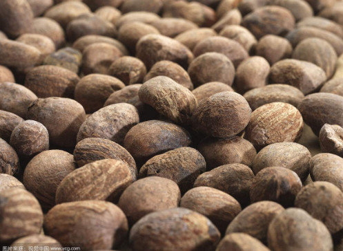Natural Organic Avocado Oil / Cold Pressed Avocado Oil For   Cream Lotion / Shampoo