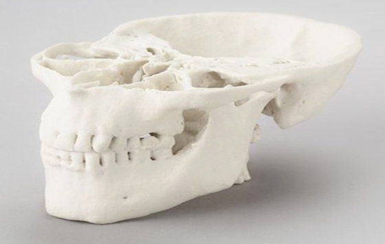 ABS Material 3D Printing Rapid Prototype For Jig Parts Various Style