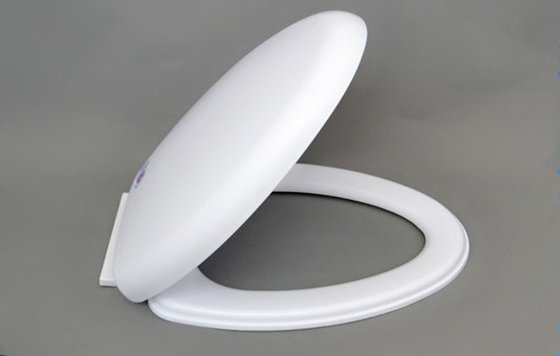Customize Plastic Injection Mould  Toilet Seat Cover Mould Parts