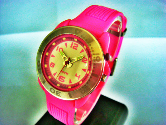 Stainless Steel Quartz Women Analog Watch / 100M Water Resistant Watches